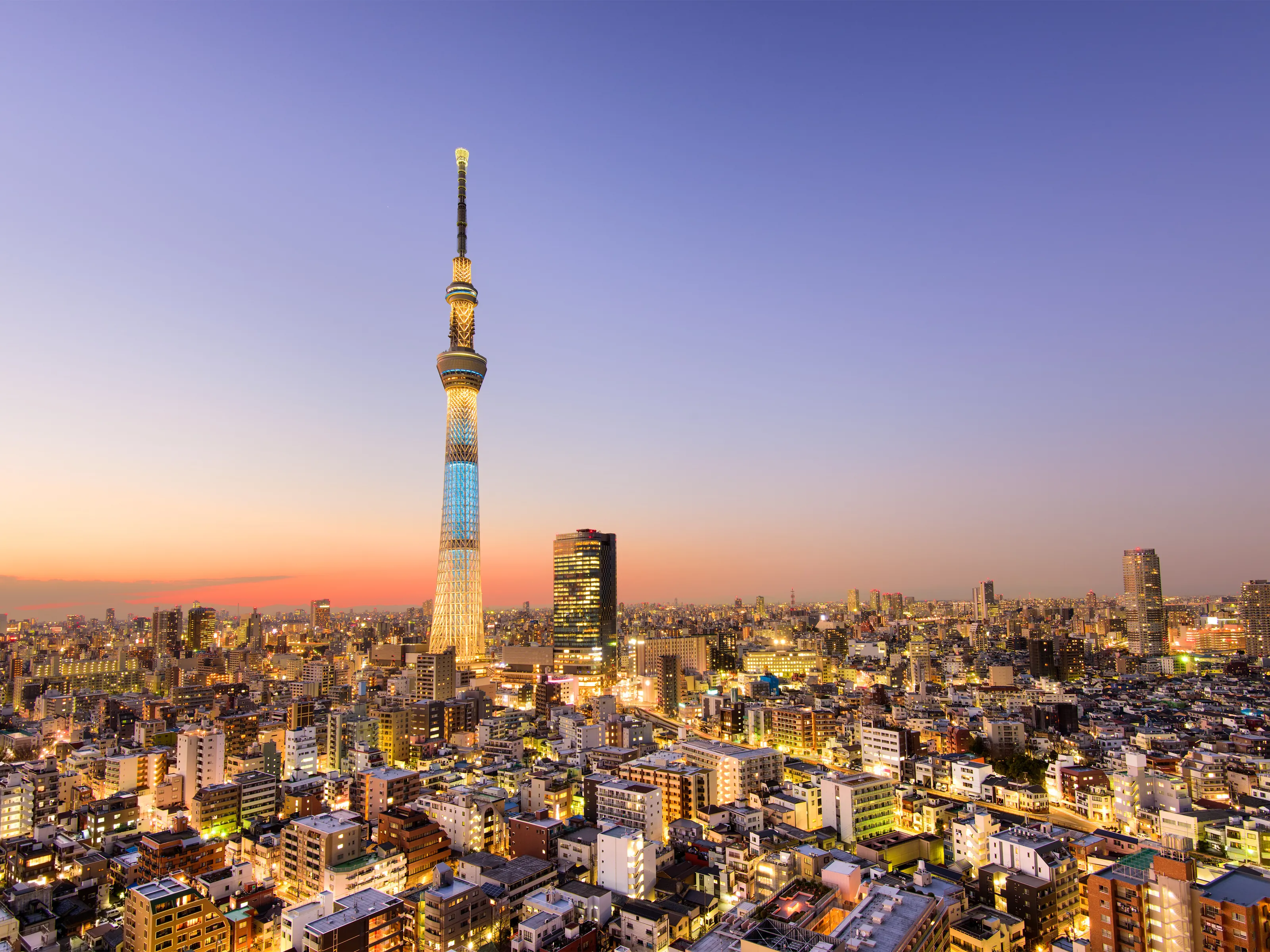 7 Days in Tokyo (2026): Perfect First-Timer Itinerary