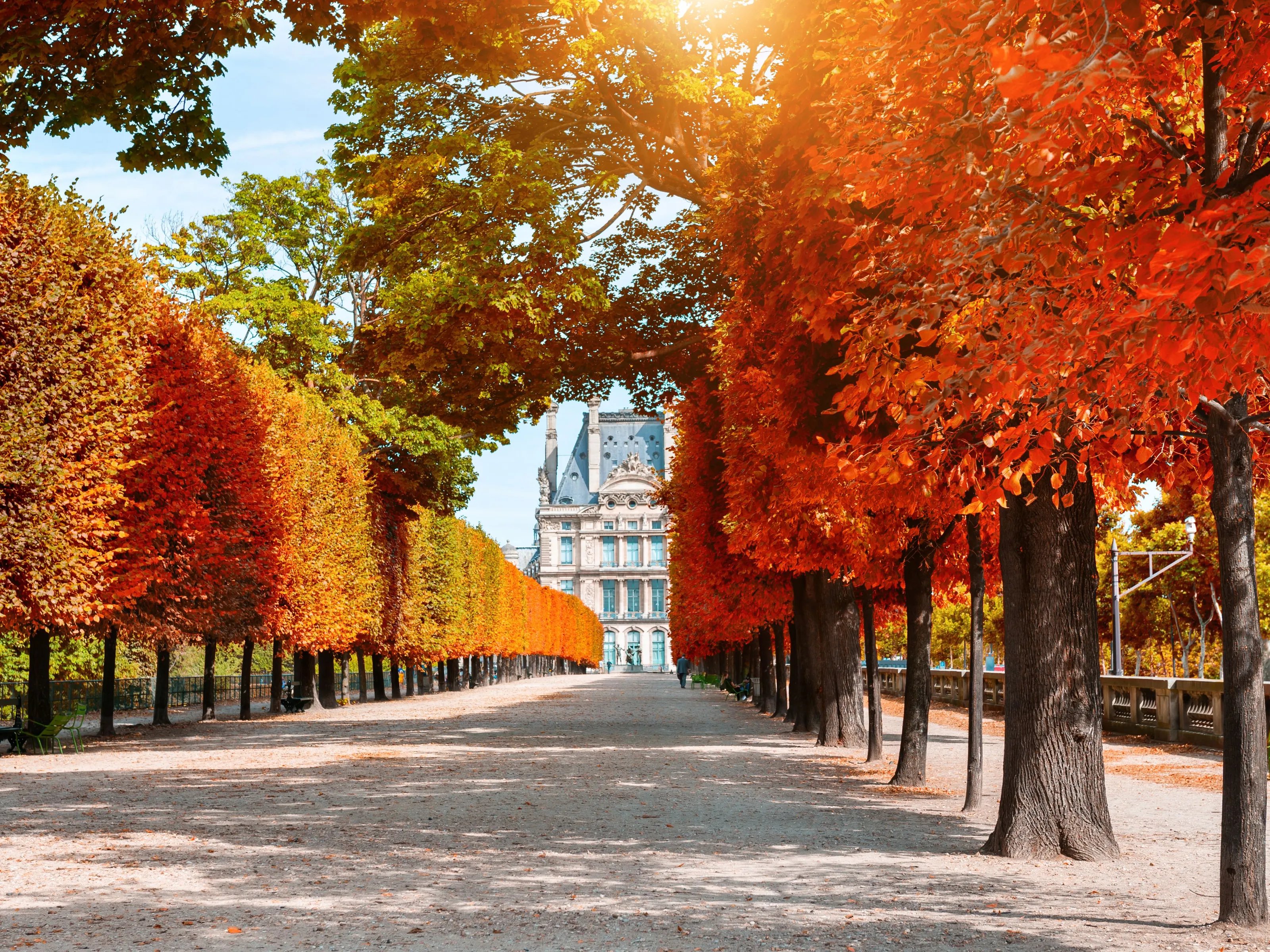 Best Time to Visit Paris | Weather, Crowds & Prices Guide 2026