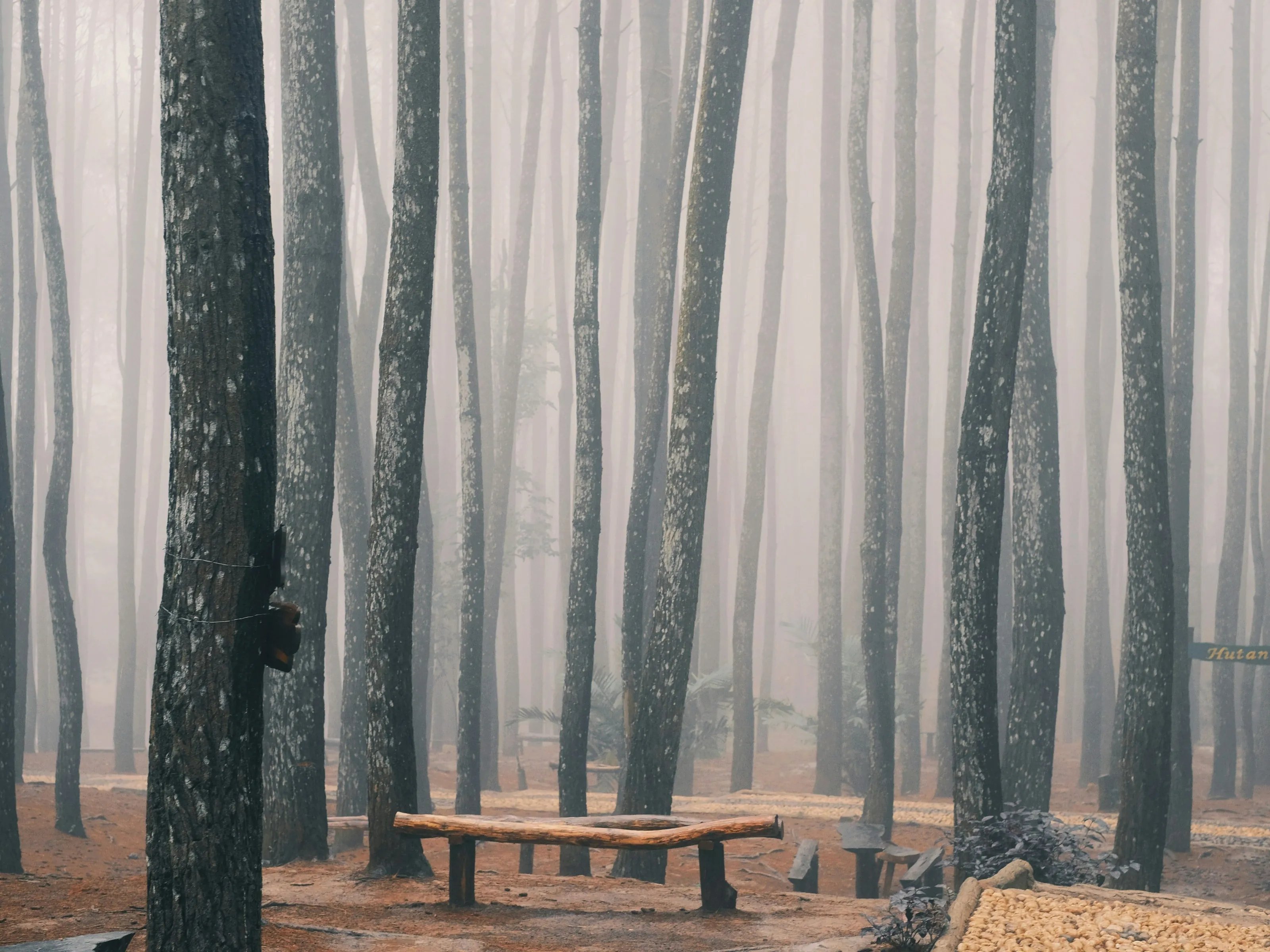 Yogyakarta Travel Guide 2026 | Tips, Costs & Local Insights